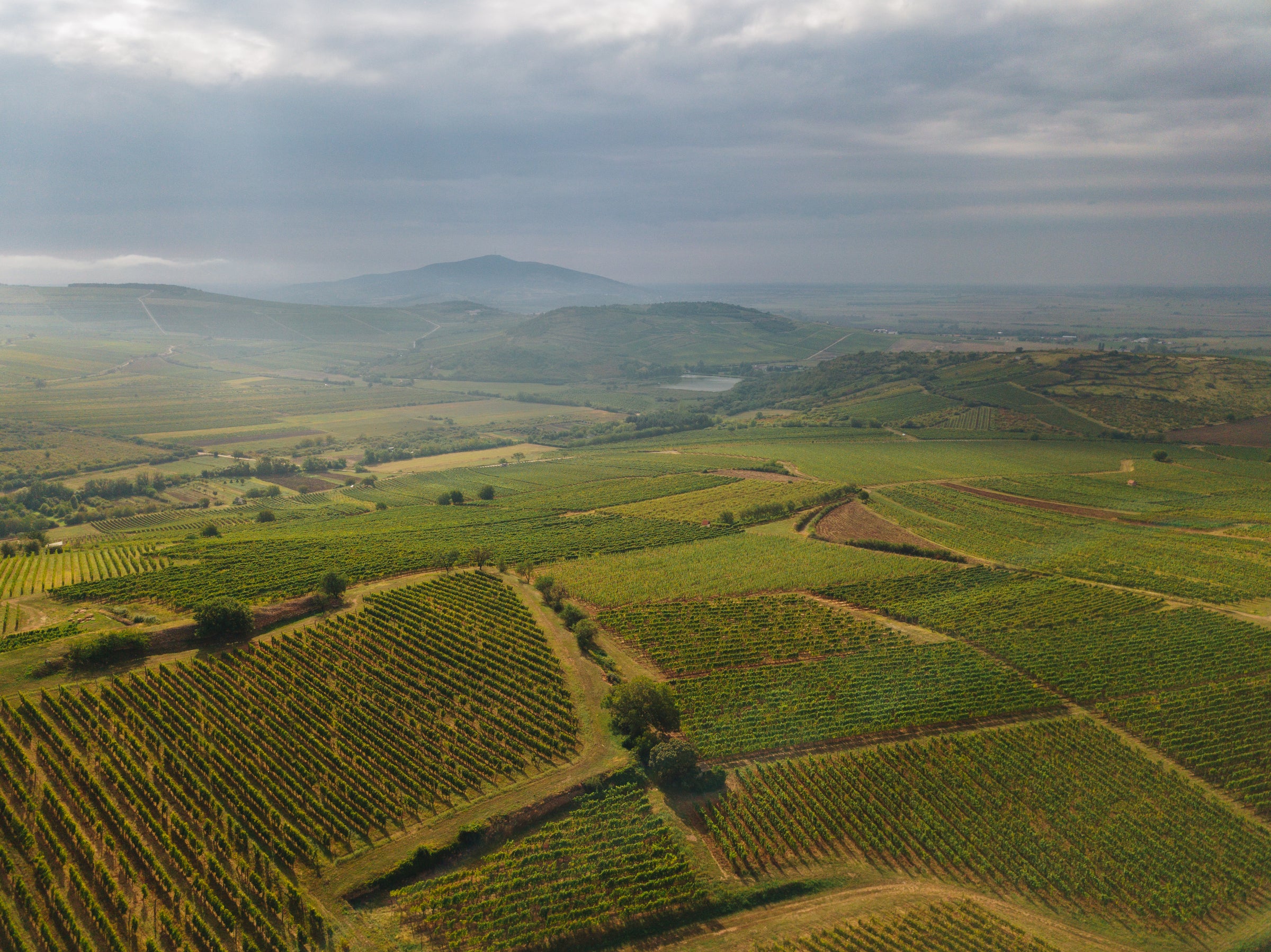 Tokaj Wine Region | The Territory | Juliet Victor