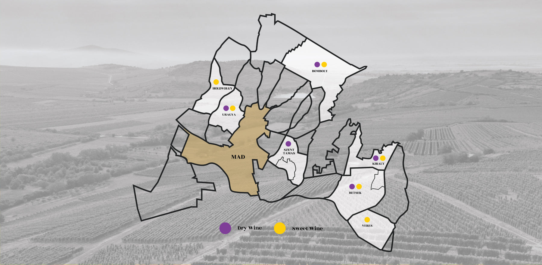 Buy Tokaji Sweet Wine & Dry White Wine Online | Juliet Victor