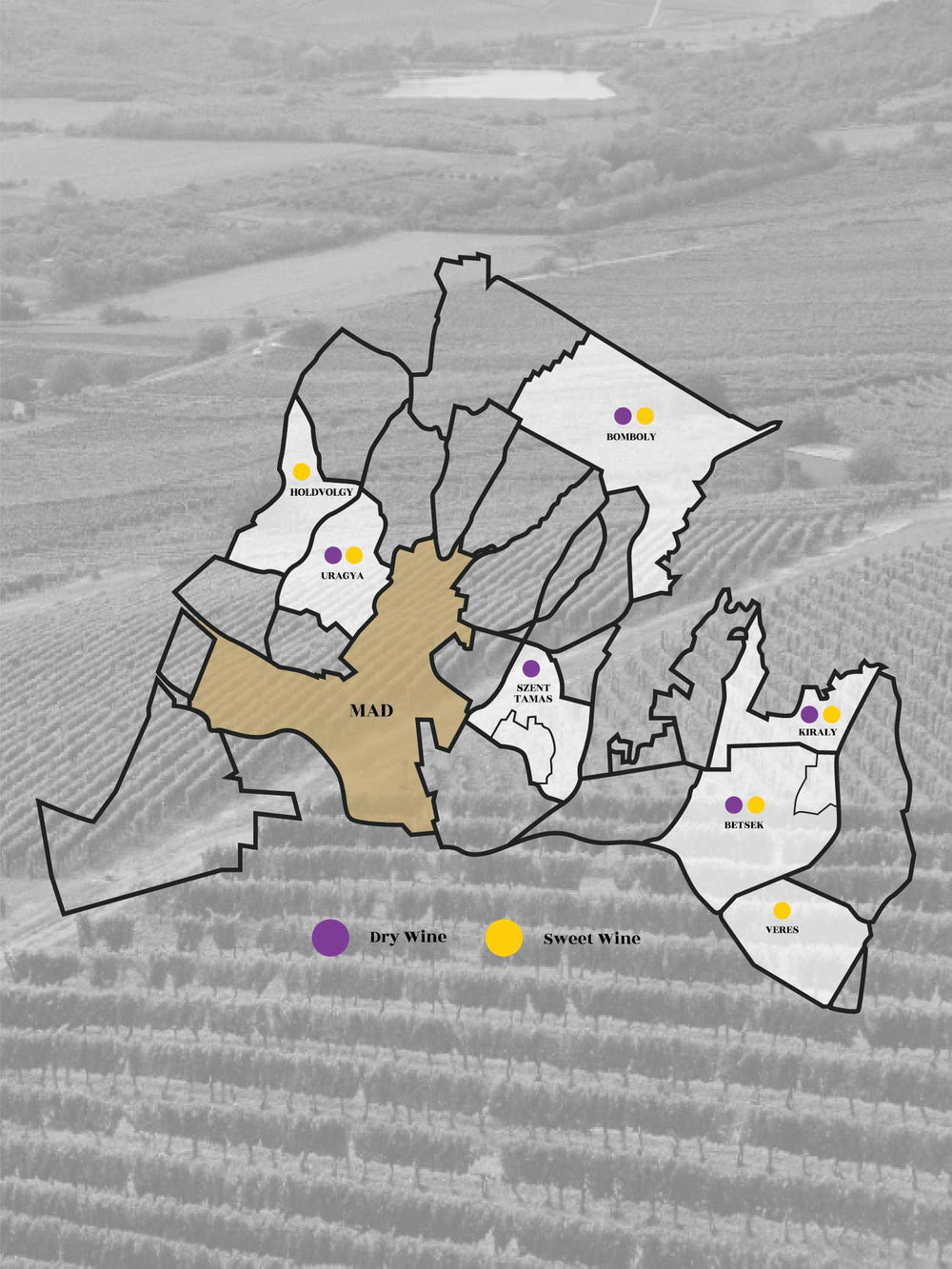 Buy Tokaji Sweet Wine & Dry White Wine Online | Juliet Victor
